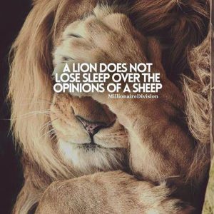 30 Motivational Lion Quotes In Pictures - Courage & Strength