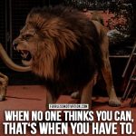 30 Motivational Lion Quotes In Pictures - Courage & Strength