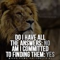 30 Motivational Lion Quotes In Pictures - Courage & Strength