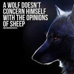 20 Strong Wolf Quotes To Pump You Up | Wolves & Wolfpack Quotes
