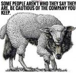 20 Strong Wolf Quotes To Pump You Up | Wolves & Wolfpack Quotes