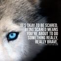 20 Strong Wolf Quotes To Pump You Up | Wolves & Wolfpack Quotes