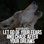 20 Strong Wolf Quotes To Pump You Up | Wolves & Wolfpack Quotes