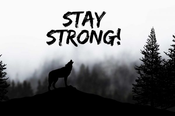 Video - Fearless Motivation - Motivational Videos & Music